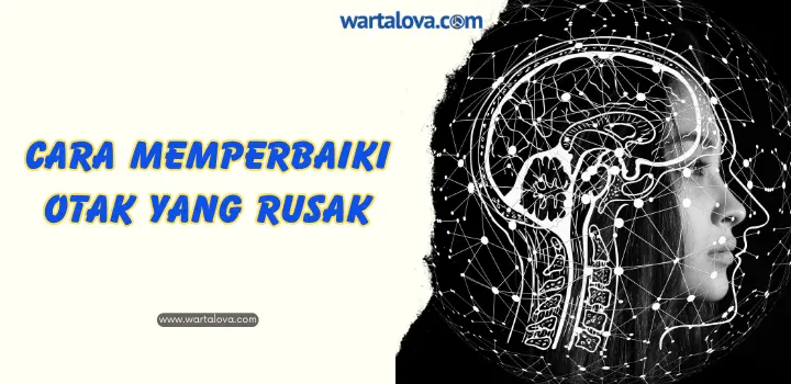Cara Memperbaiki Otak yang Rusak – Tips Menjaga Kesehatan Otak